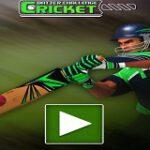 Cricket Games | Free HTML5 and Working Flash Cricket Games