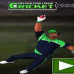 Cricket Games | Free HTML5 and Working Flash Cricket Games